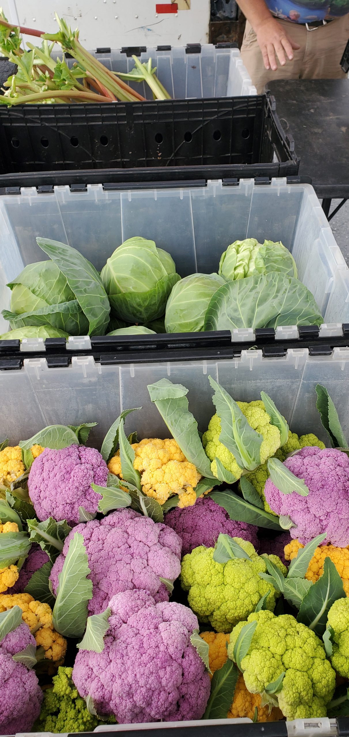 News – Anchorage Farmers Market